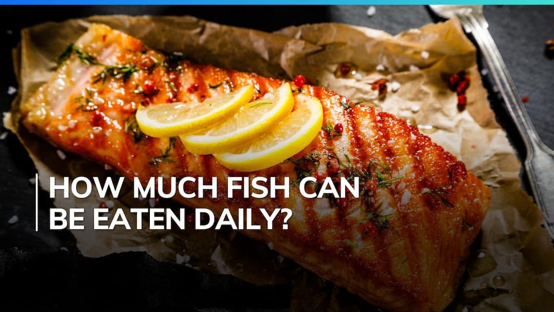 Is eating fish every day safe? Know what the right amount is for a better health | Editorji