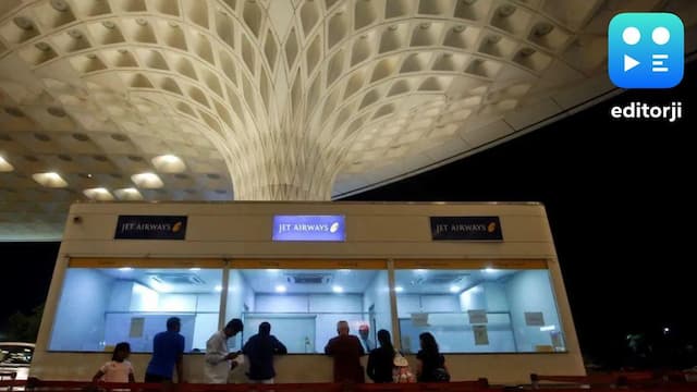 Humans raping animals: 80 cases in India in 10 years; what law says ...