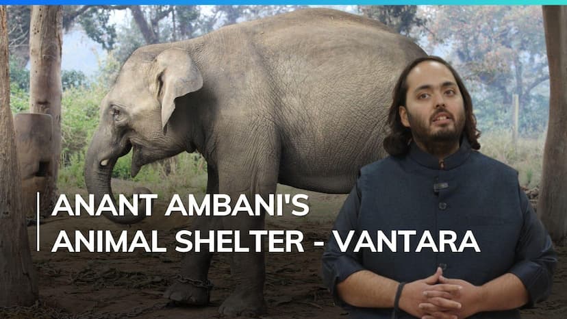 Ahead of pre-wedding festivities, Anant Ambani launches 3000 acre ...