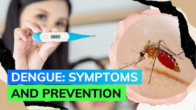 Chemically-injected watermelons; FSSAI guides how to identify them ...